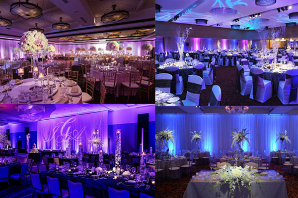 Elegant Entertainment | Services